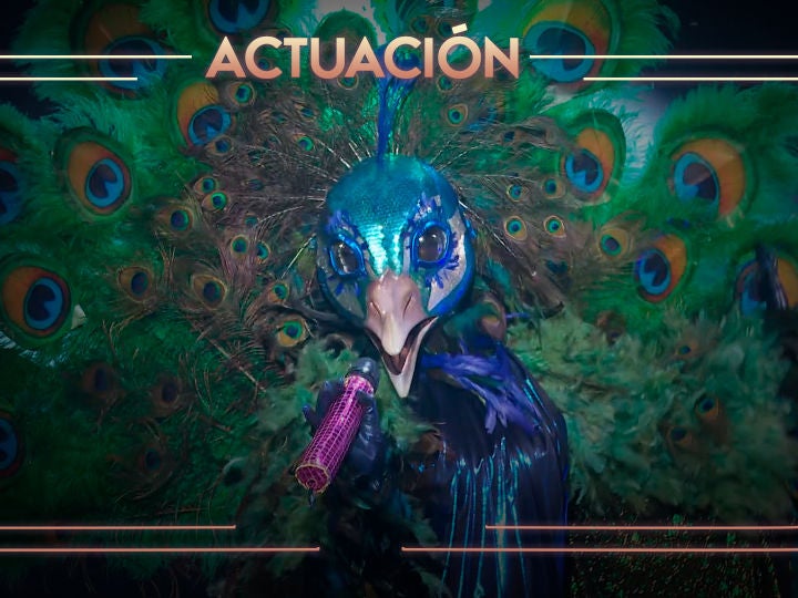 Mask Singer: adivina quién canta - El Pavo Real canta 'Con altura'