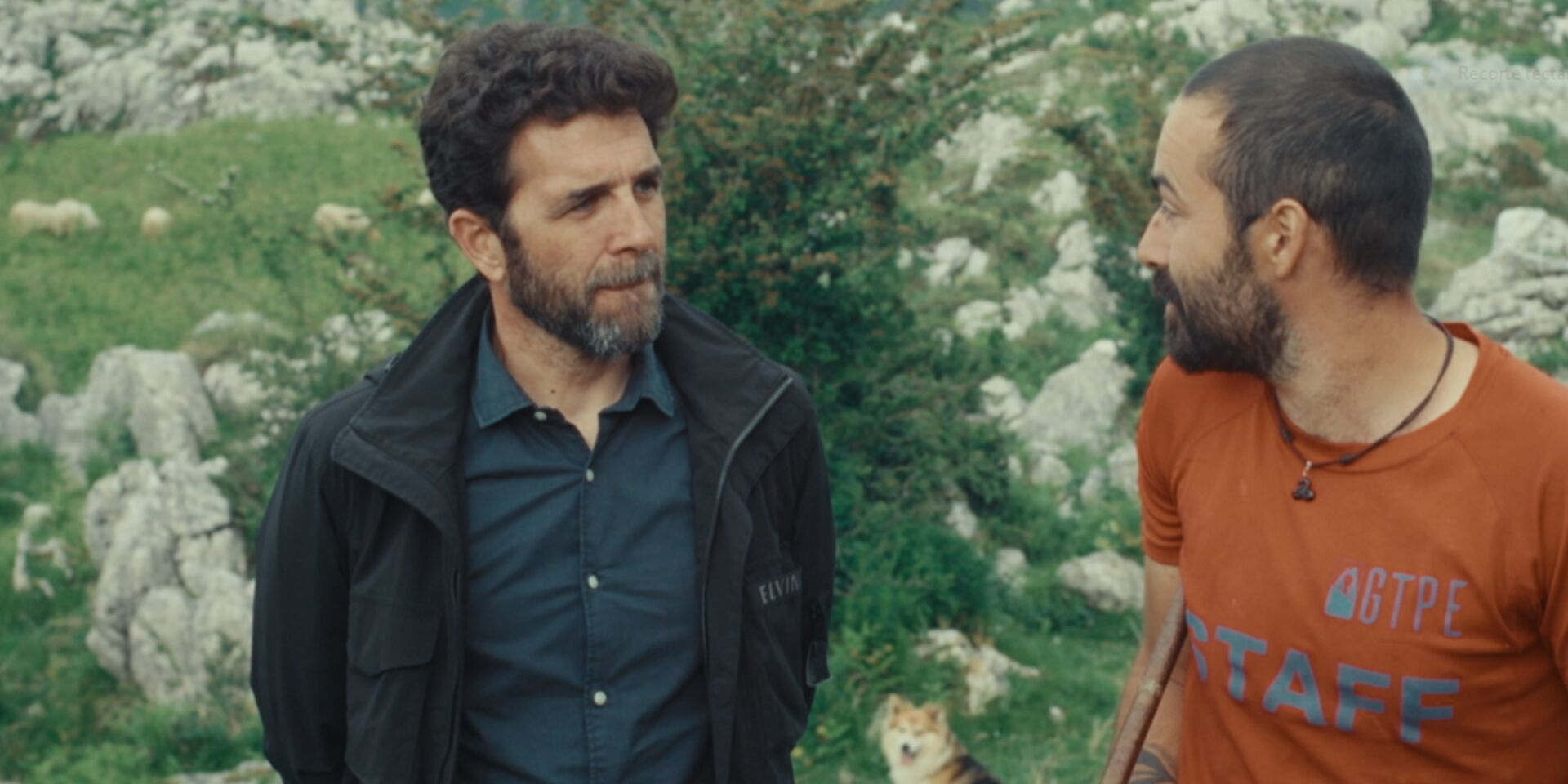 Salvados - Temporada 20 - Entre lobos