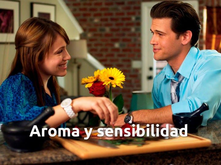 TV Movies - Aroma y sensibilidad