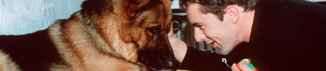 Rex, un policía diferente