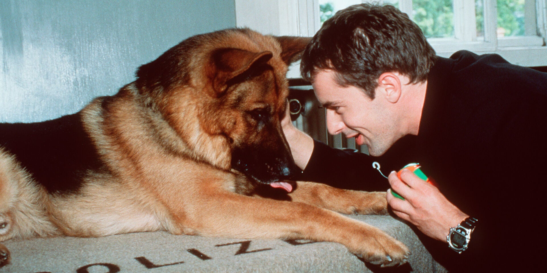 Rex, un policía diferente