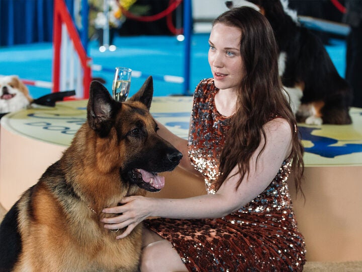 Hudson & Rex - Temporada 3 - Capítulo 12: Perro jefe