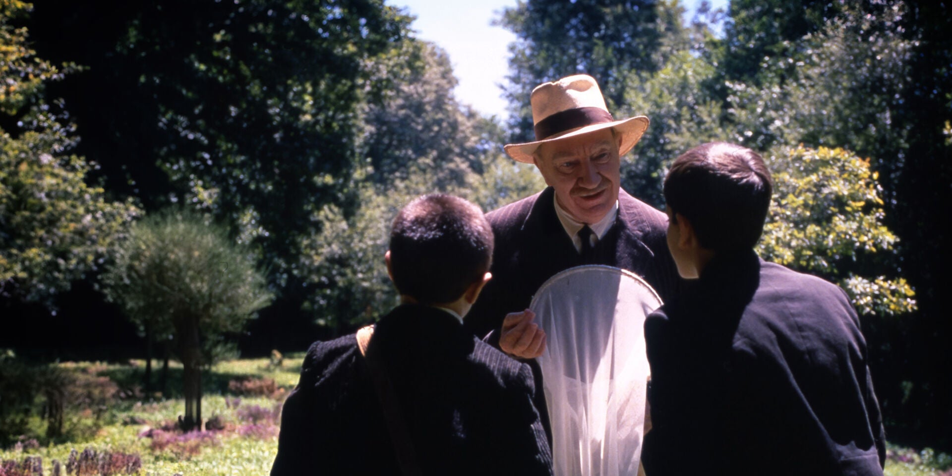 La lengua de las mariposas
